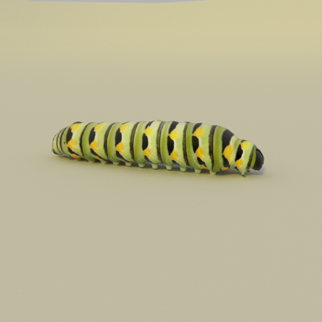 3d Model Insect Pack 1
