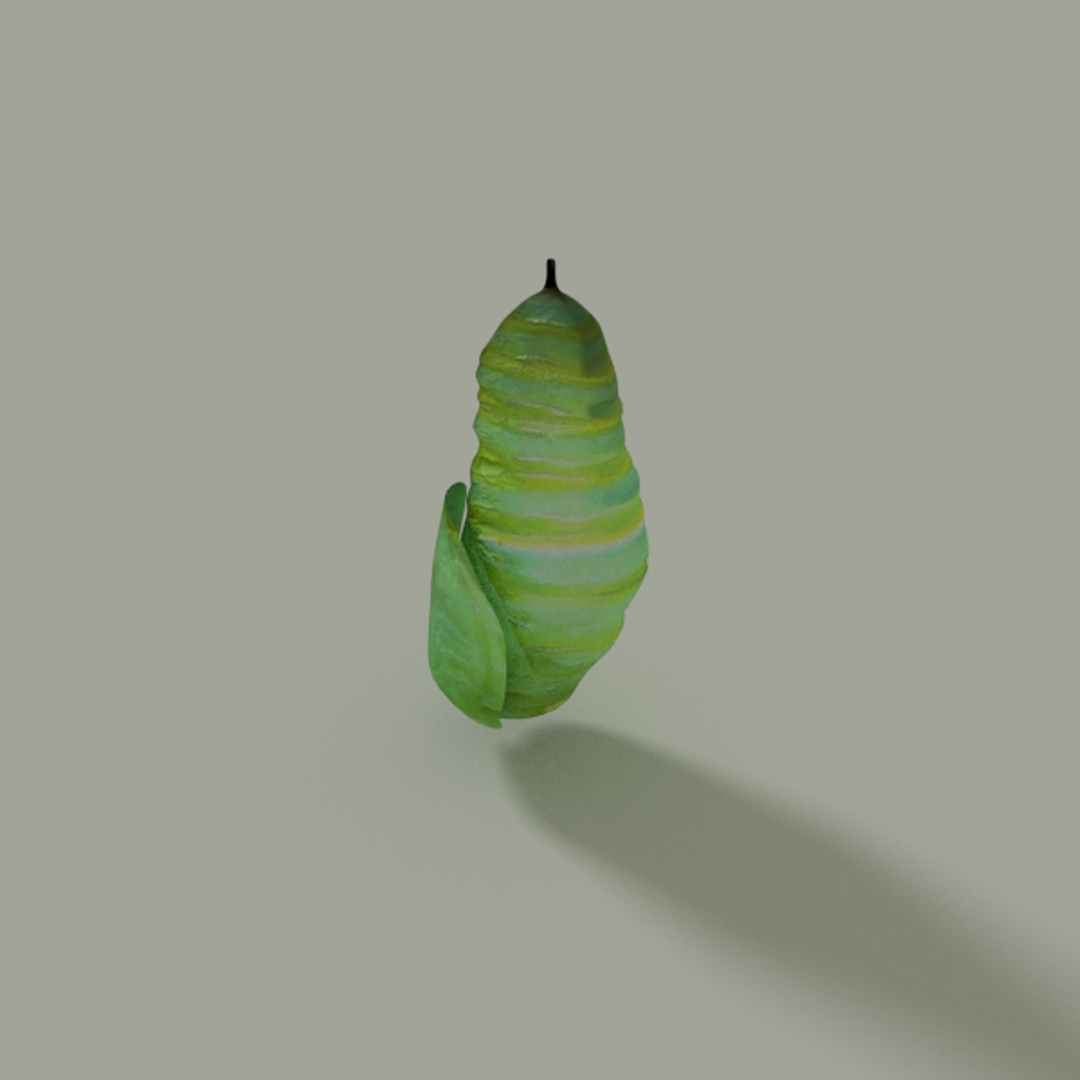 3d Model Insect Pack 1