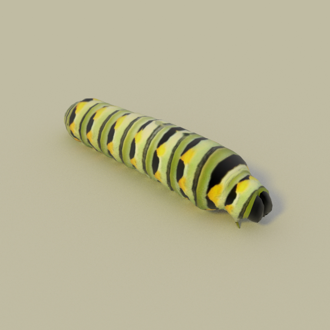 3d Model Insect Pack 1