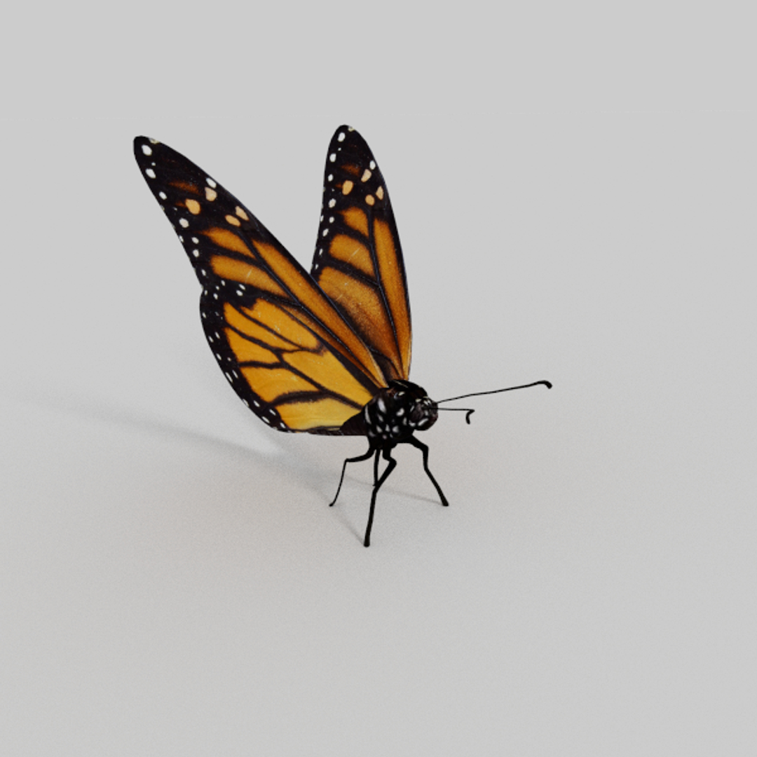 3d Model Insect Pack 1