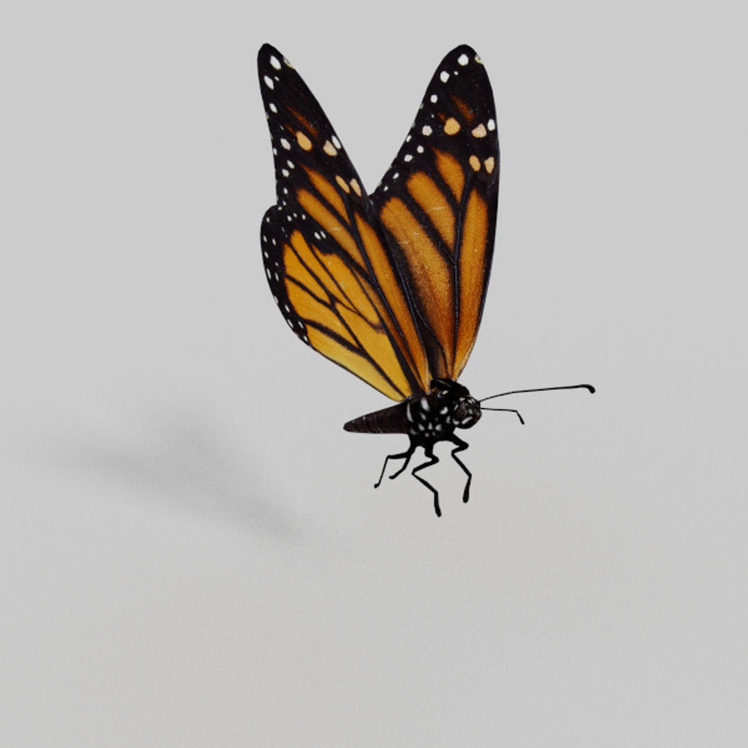 3d Model Insect Pack 1