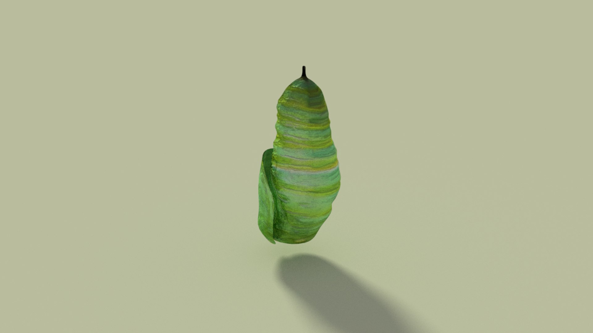 3d Model Insect Pack 1