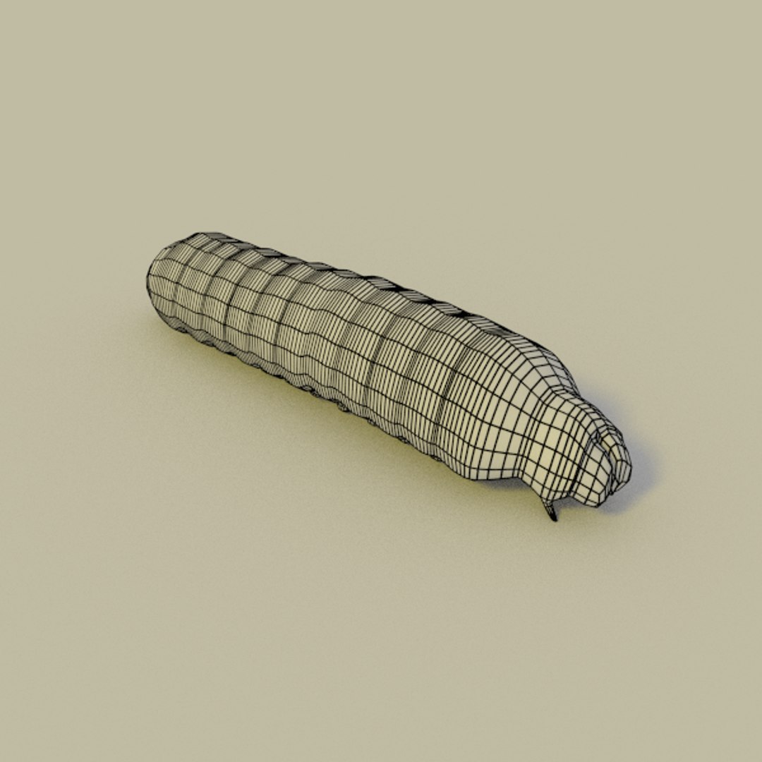 3d Model Insect Pack 1