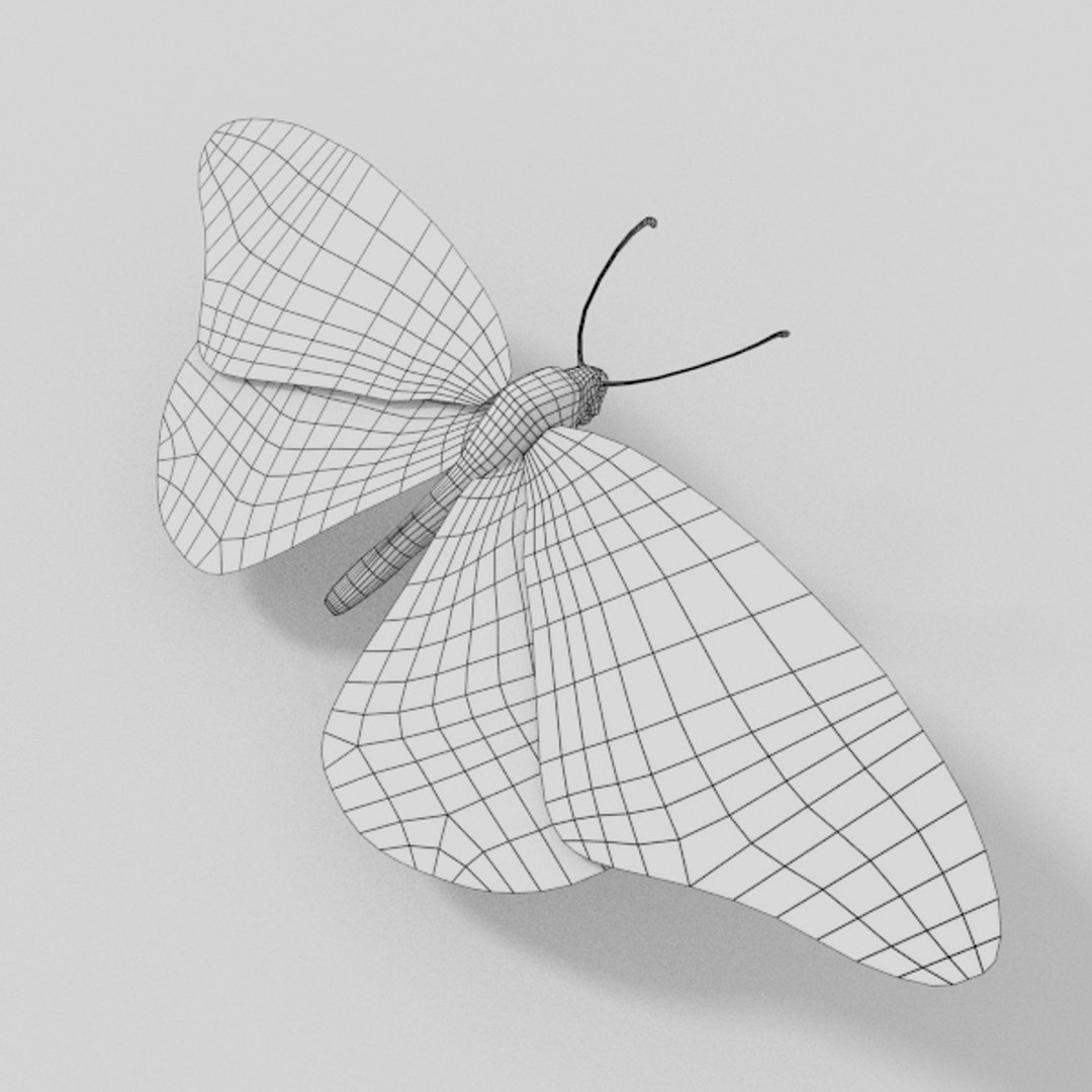 3d Model Insect Pack 1