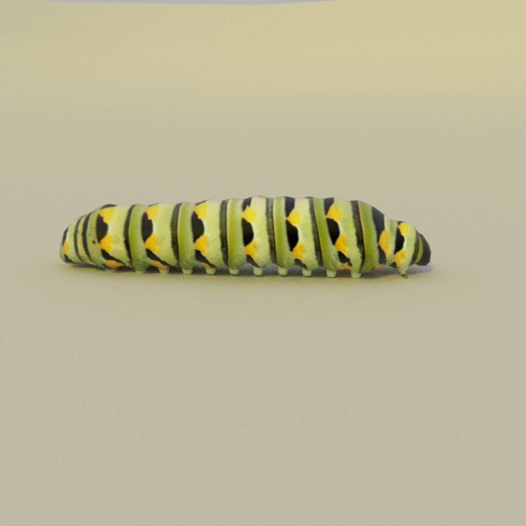 3d Model Insect Pack 1