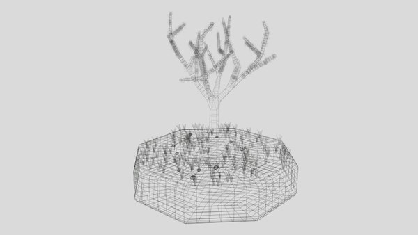 3D almond tree model - TurboSquid 1550442