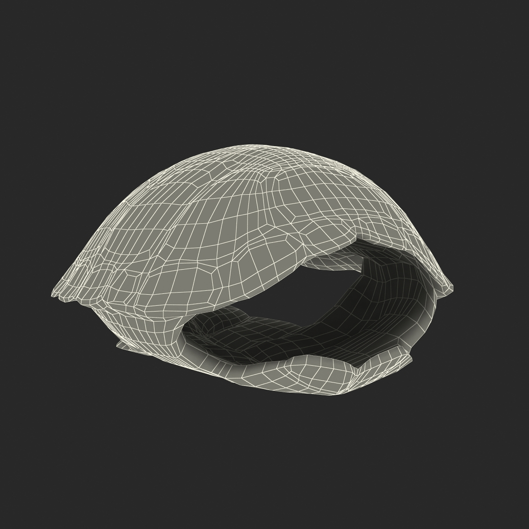 Turtle Shell 2 C4d