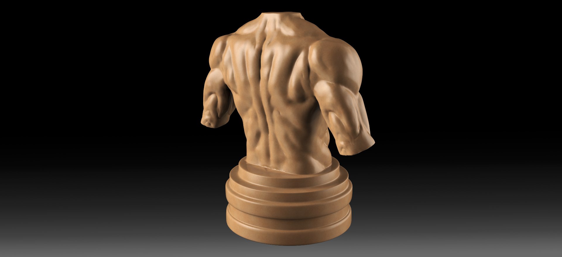 Male Torso 3D Model - TurboSquid 1382029