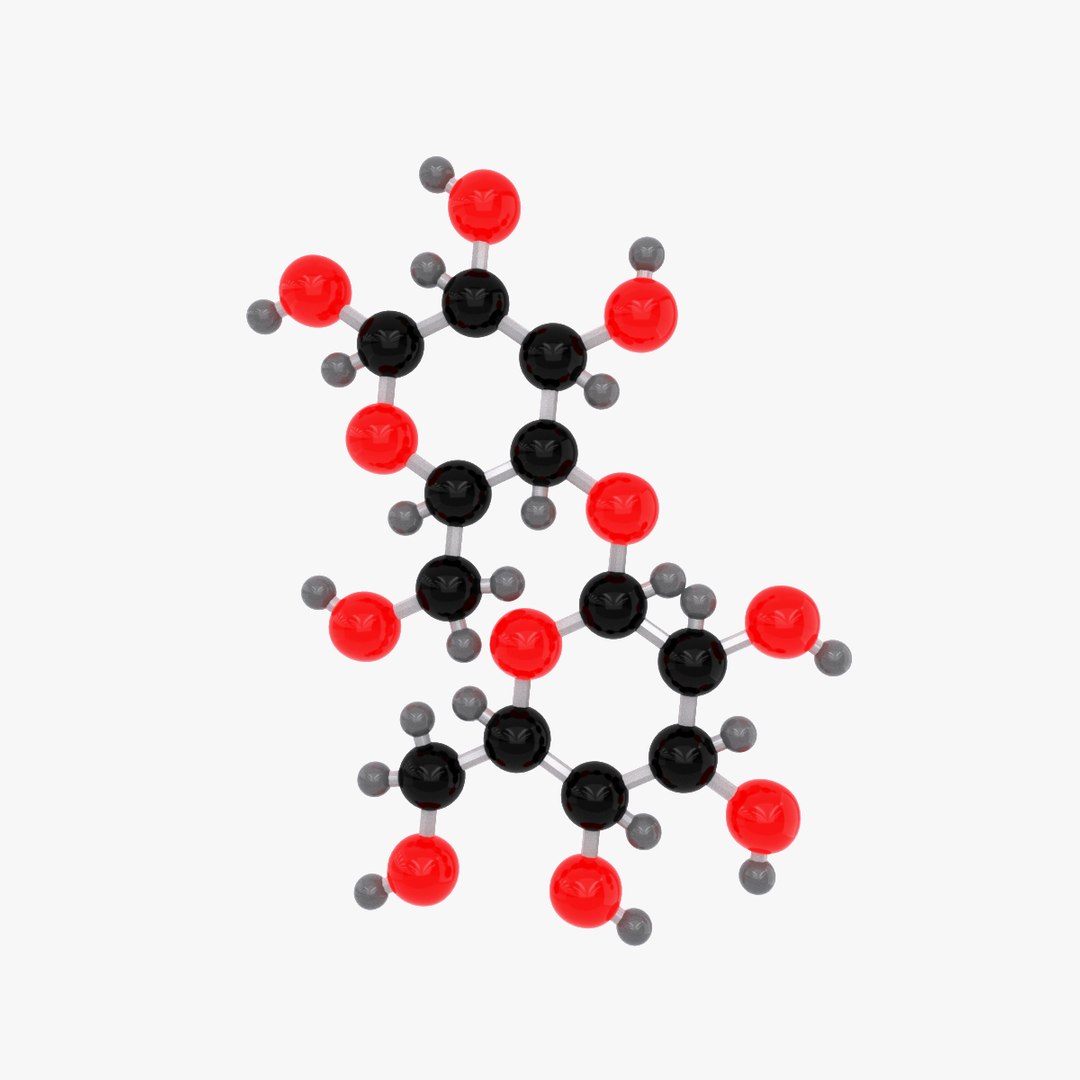 3D Maltose - Molecule Model - TurboSquid 2173040