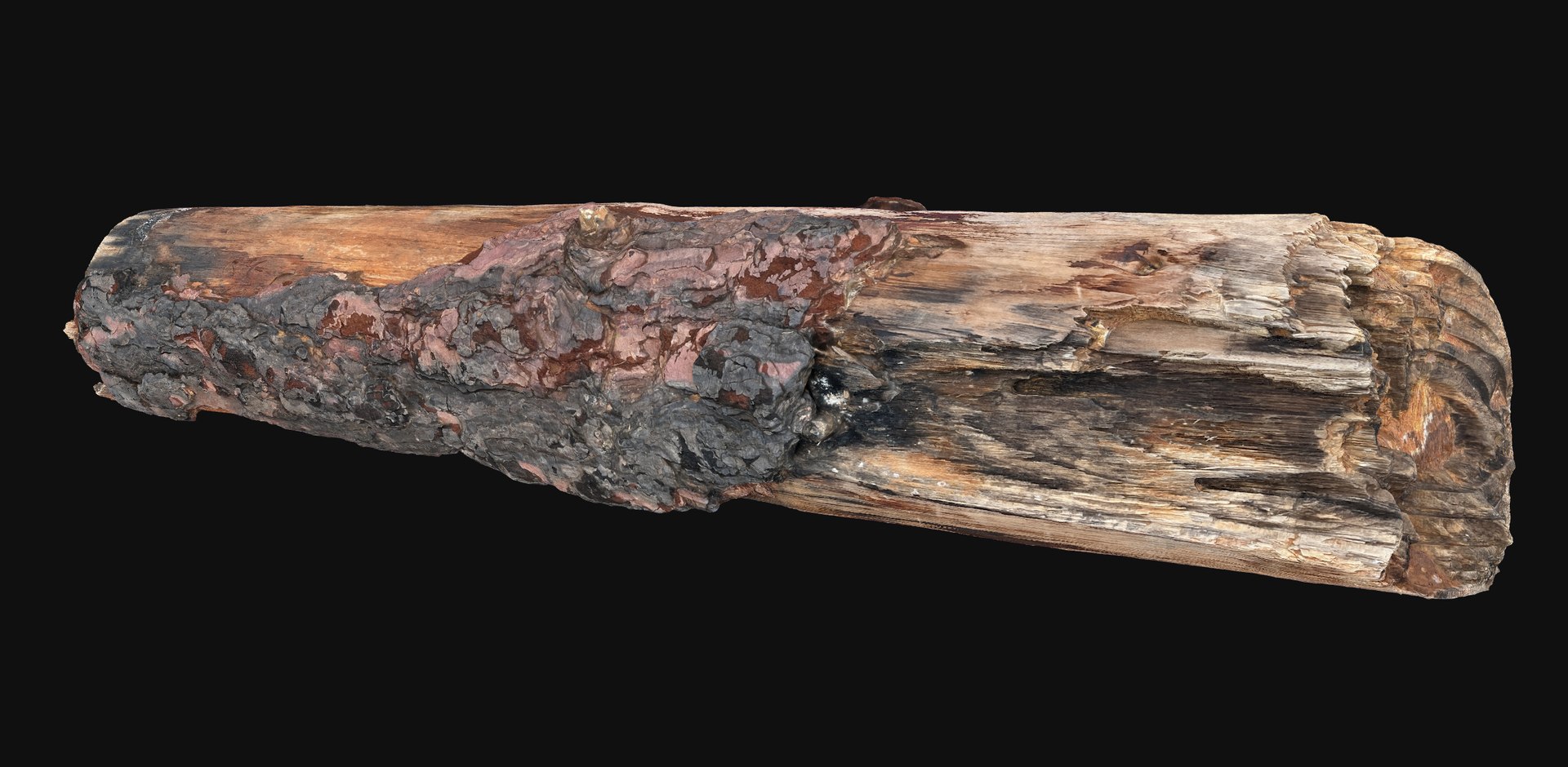 Real World Tree Trunk 3d Scan In Highpoly 3D - TurboSquid 2225327