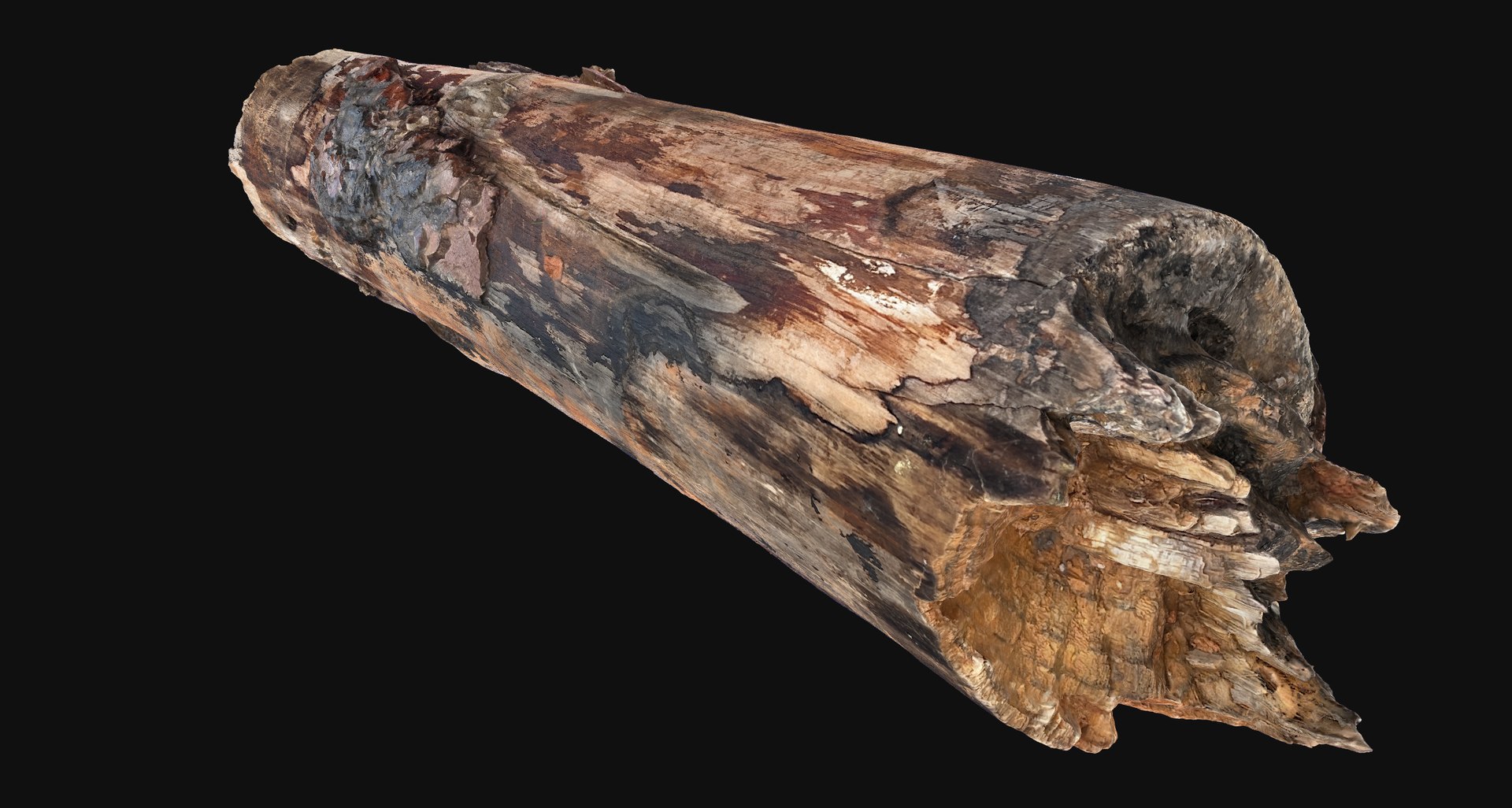 Real World Tree Trunk 3d Scan In Highpoly 3D - TurboSquid 2225327