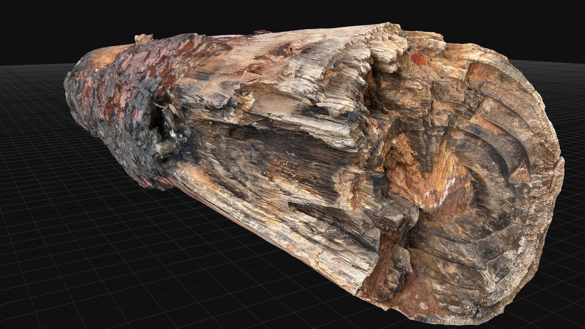 Real World Tree Trunk 3d Scan In Highpoly 3D - TurboSquid 2225327