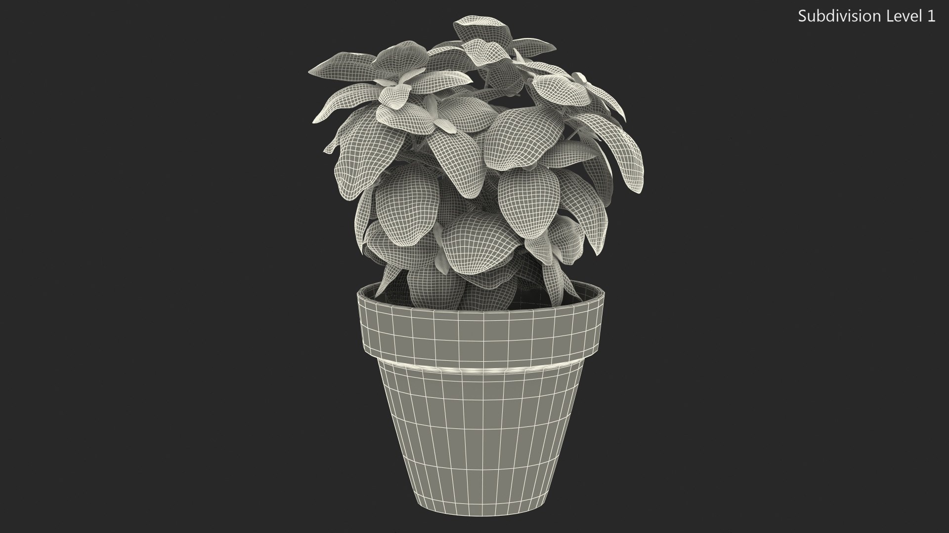 3D fresh basil herb pot model - TurboSquid 1518893