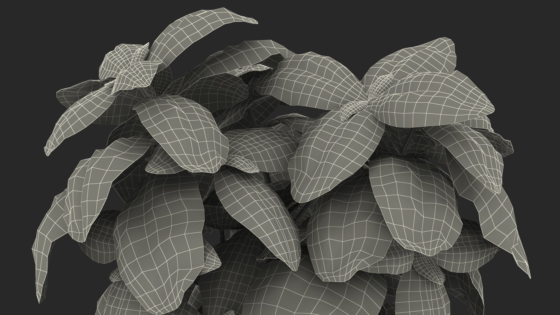 3D fresh basil herb pot model - TurboSquid 1518893