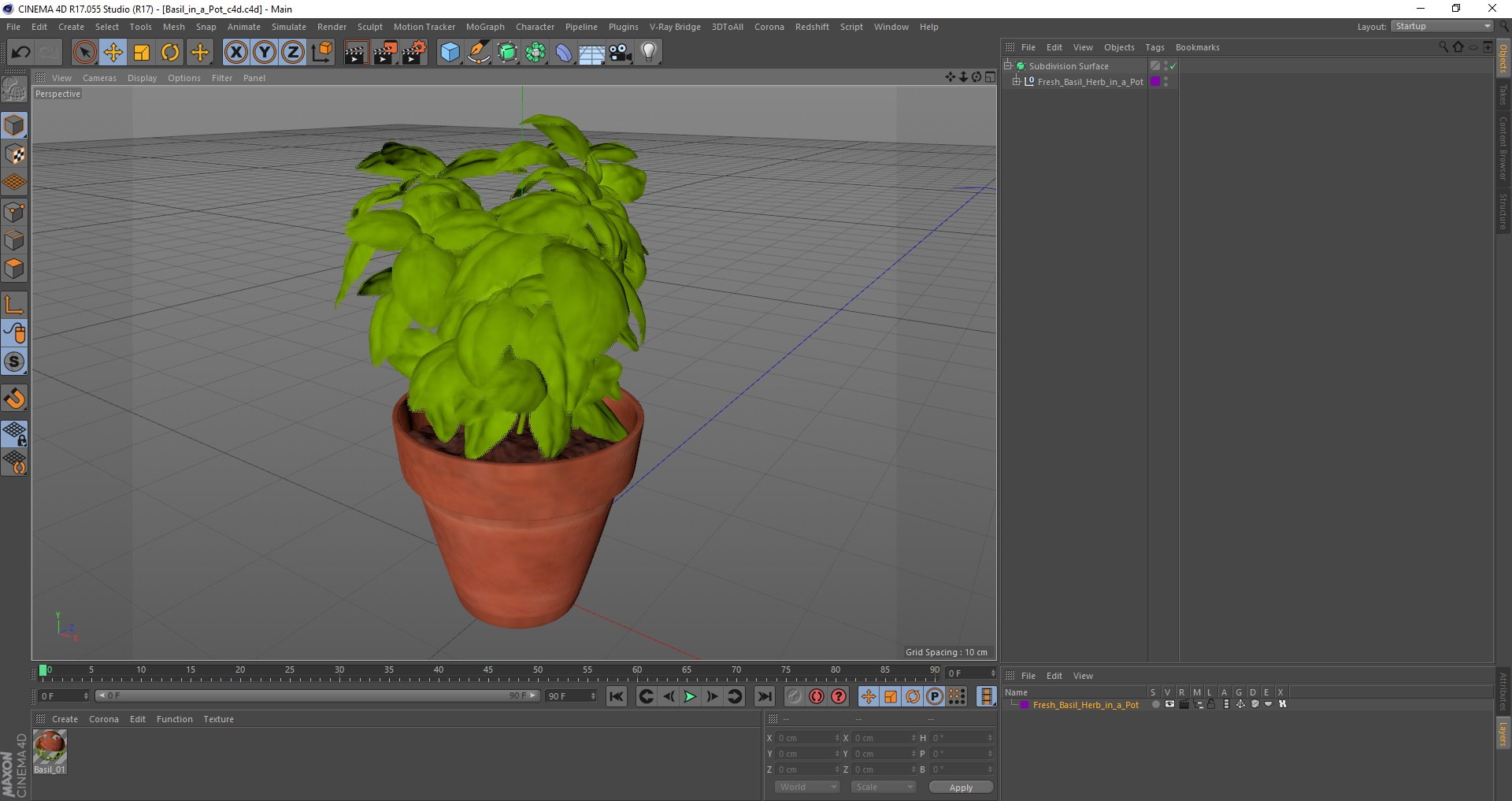 3D fresh basil herb pot model - TurboSquid 1518893