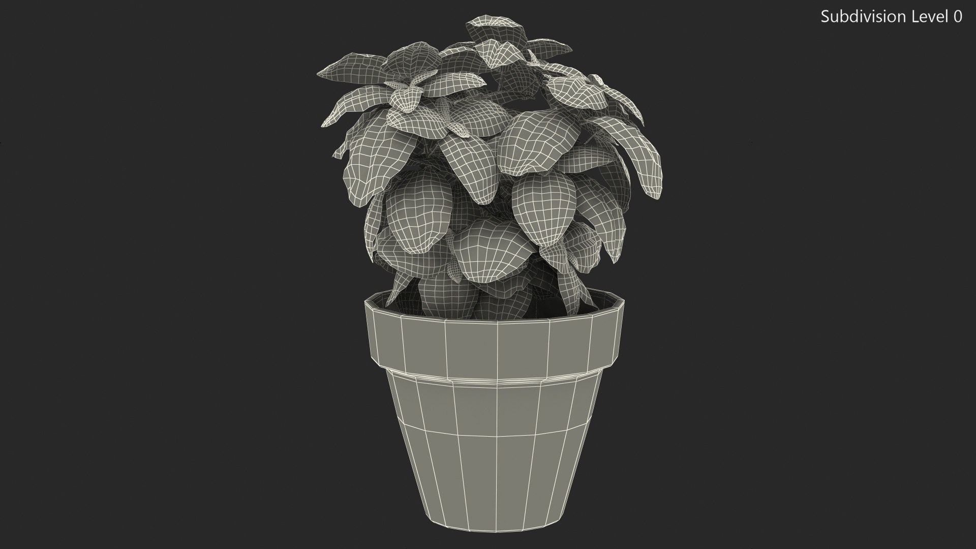 3D fresh basil herb pot model - TurboSquid 1518893