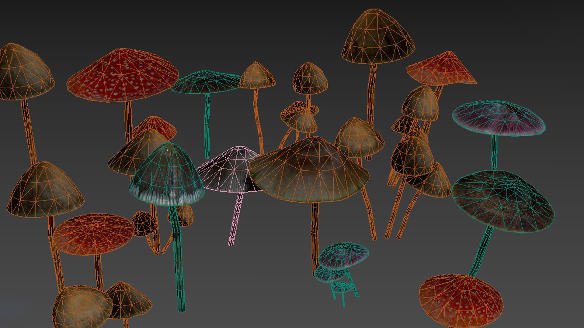 3D Model Fungi - TurboSquid 2086321