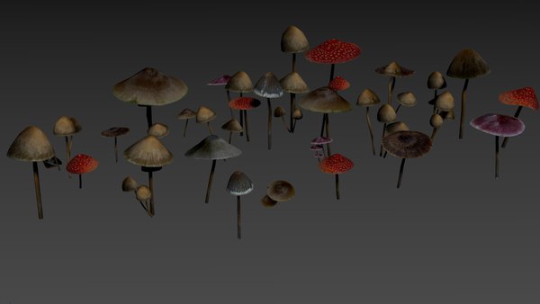 modelo 3d fungi - TurboSquid 2086321