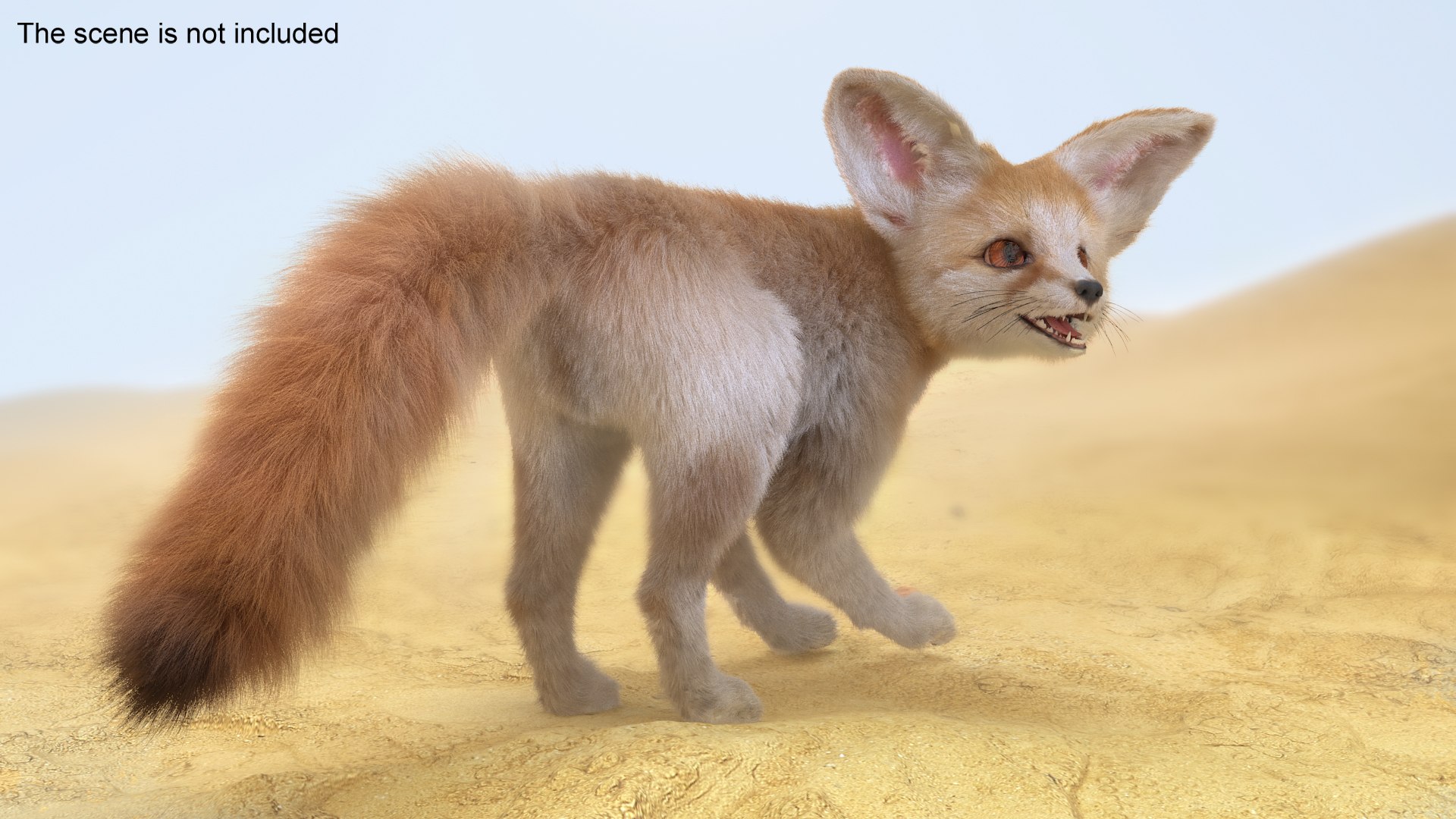 3D Desert Fox Fennec Fur Rigged - TurboSquid 2183345