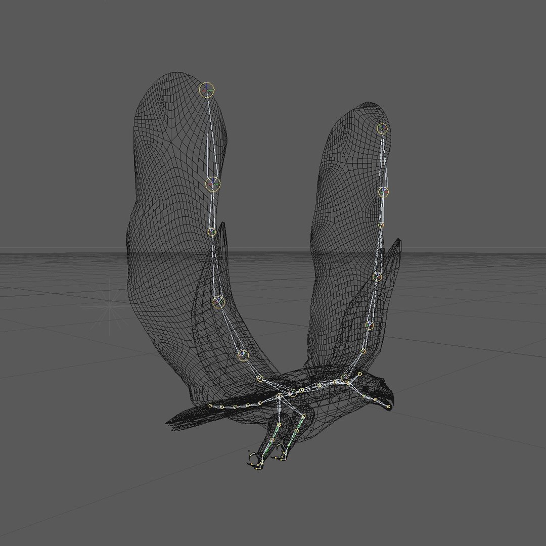 Golden Eagle Flapping Wings C4d