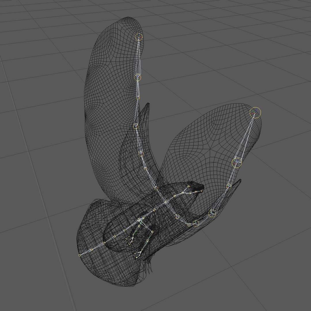 Golden Eagle Flapping Wings C4d