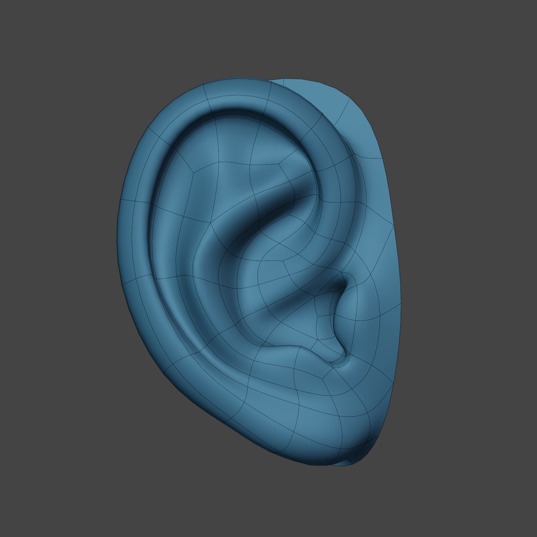 3D A Good Ear Model - TurboSquid 2170883