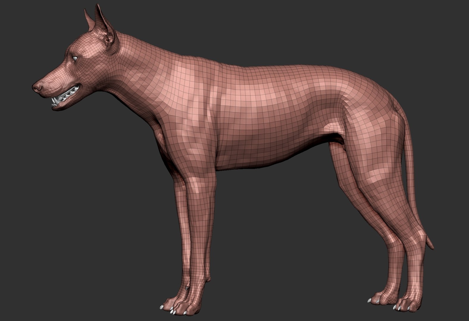 3D Wolf Zbrush - TurboSquid 1635785