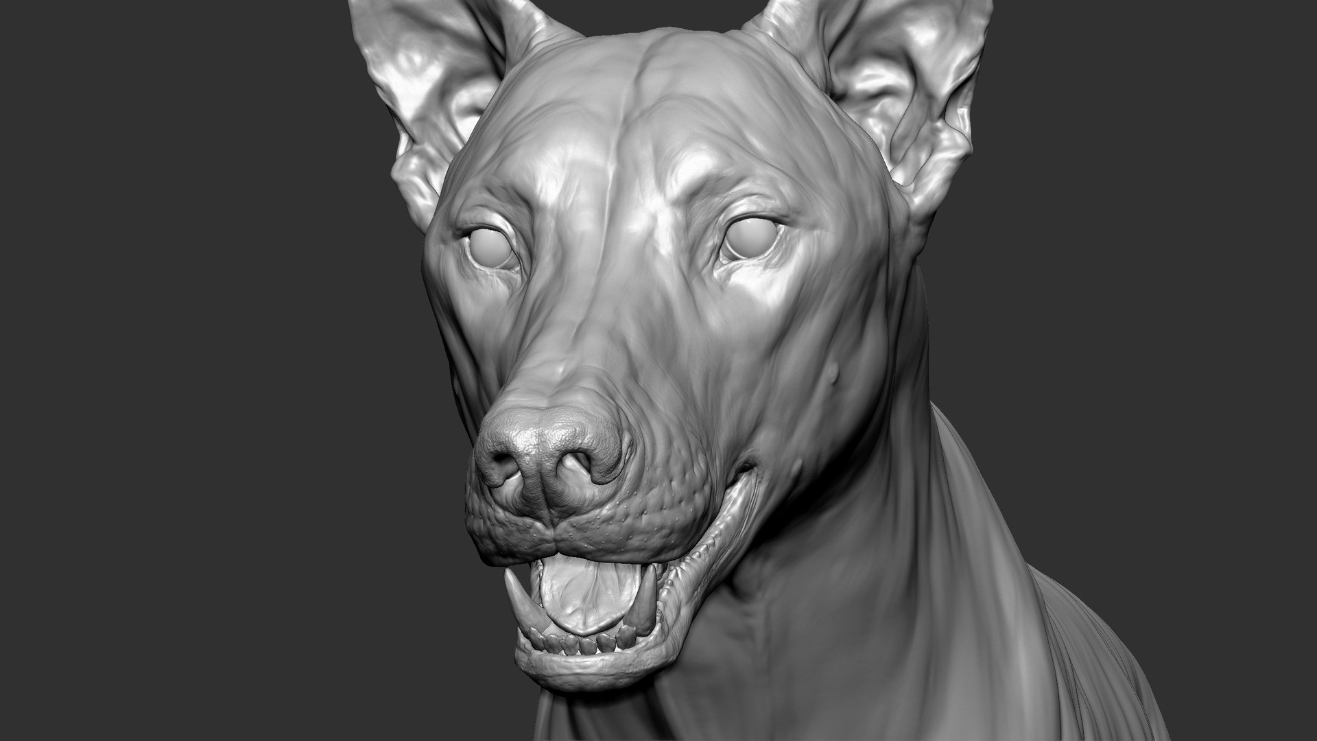 3D Wolf Zbrush - TurboSquid 1635785