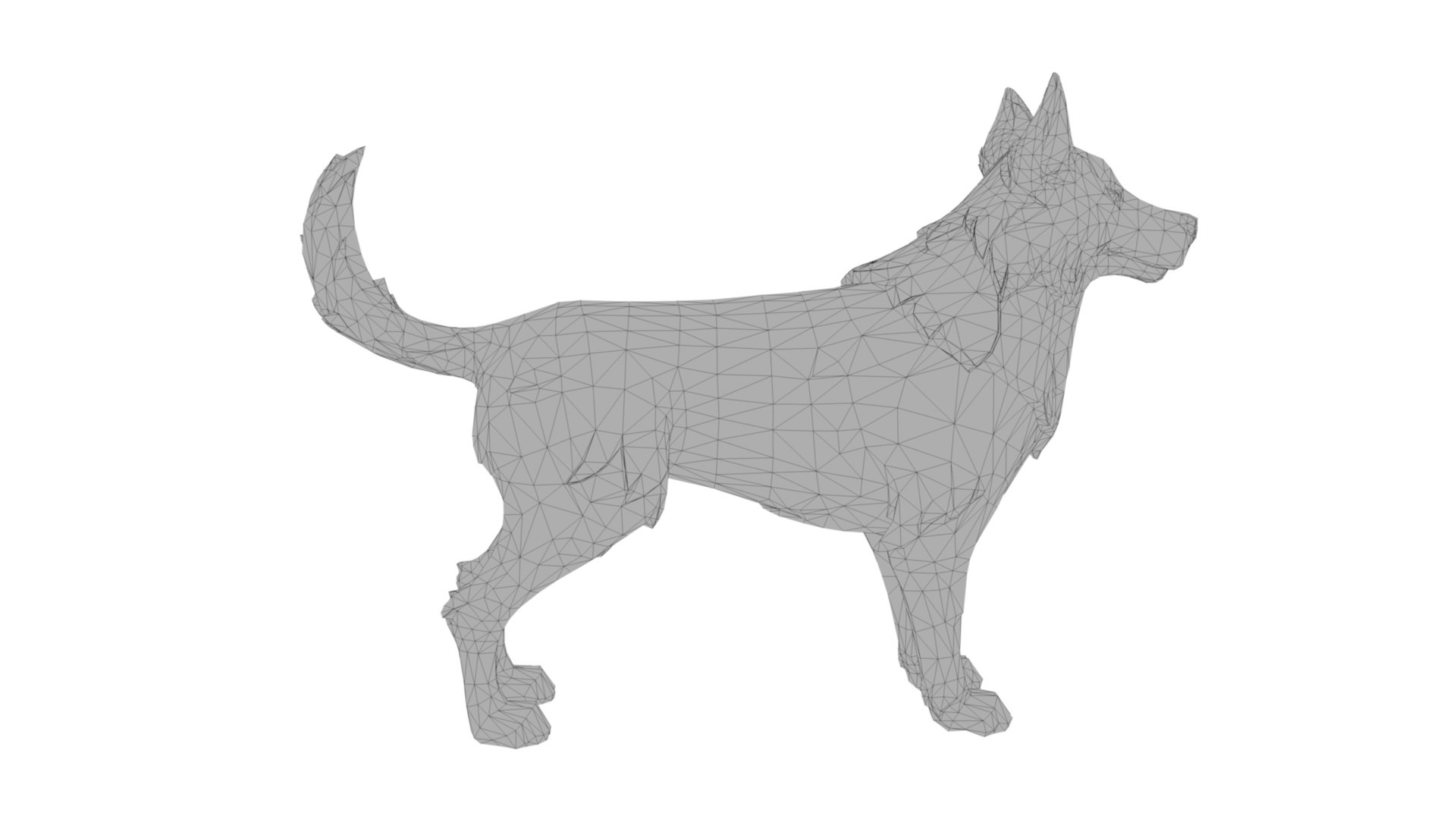 Husky dog 3D model - TurboSquid 1953876