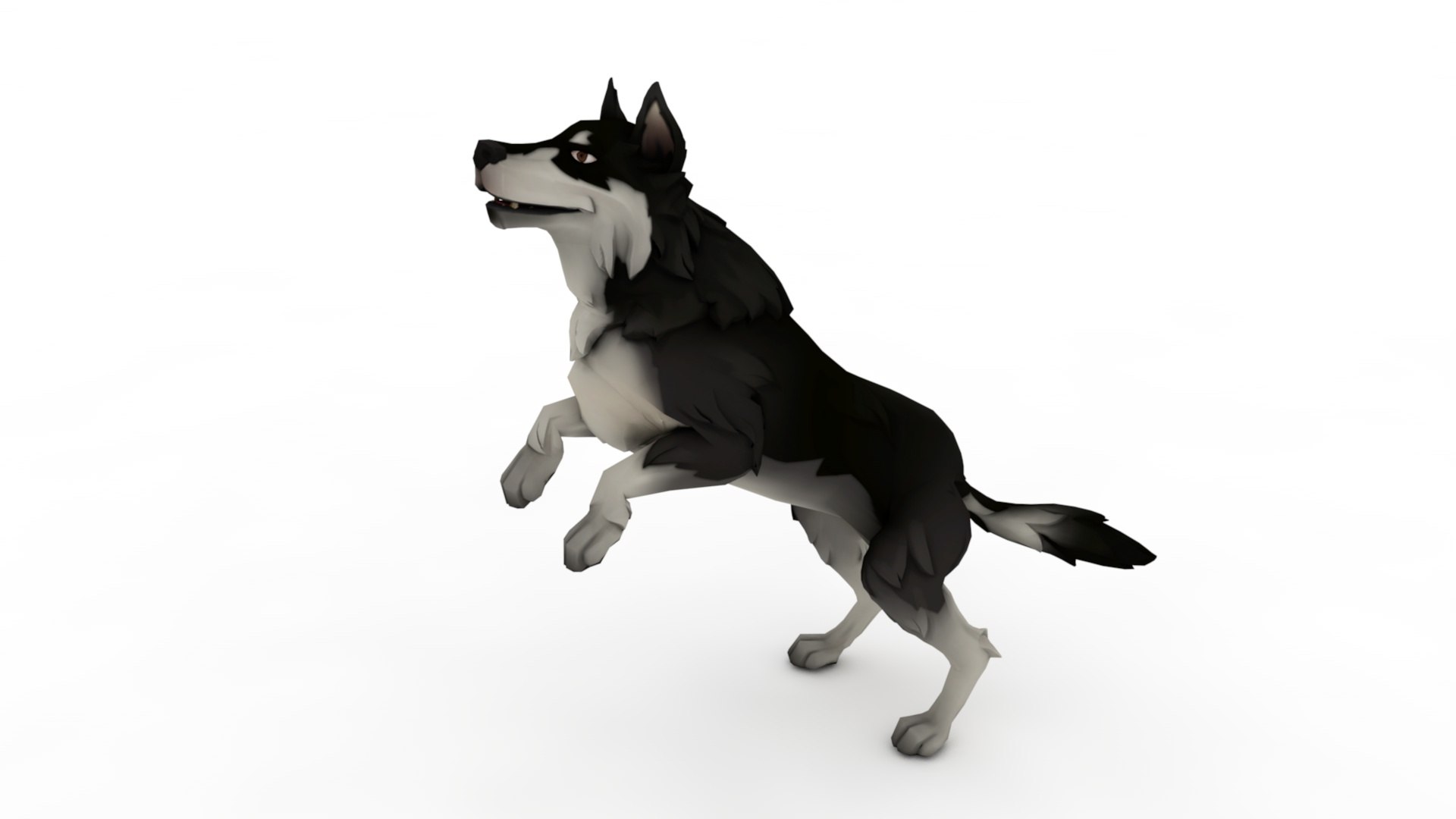 Husky dog 3D model - TurboSquid 1953876