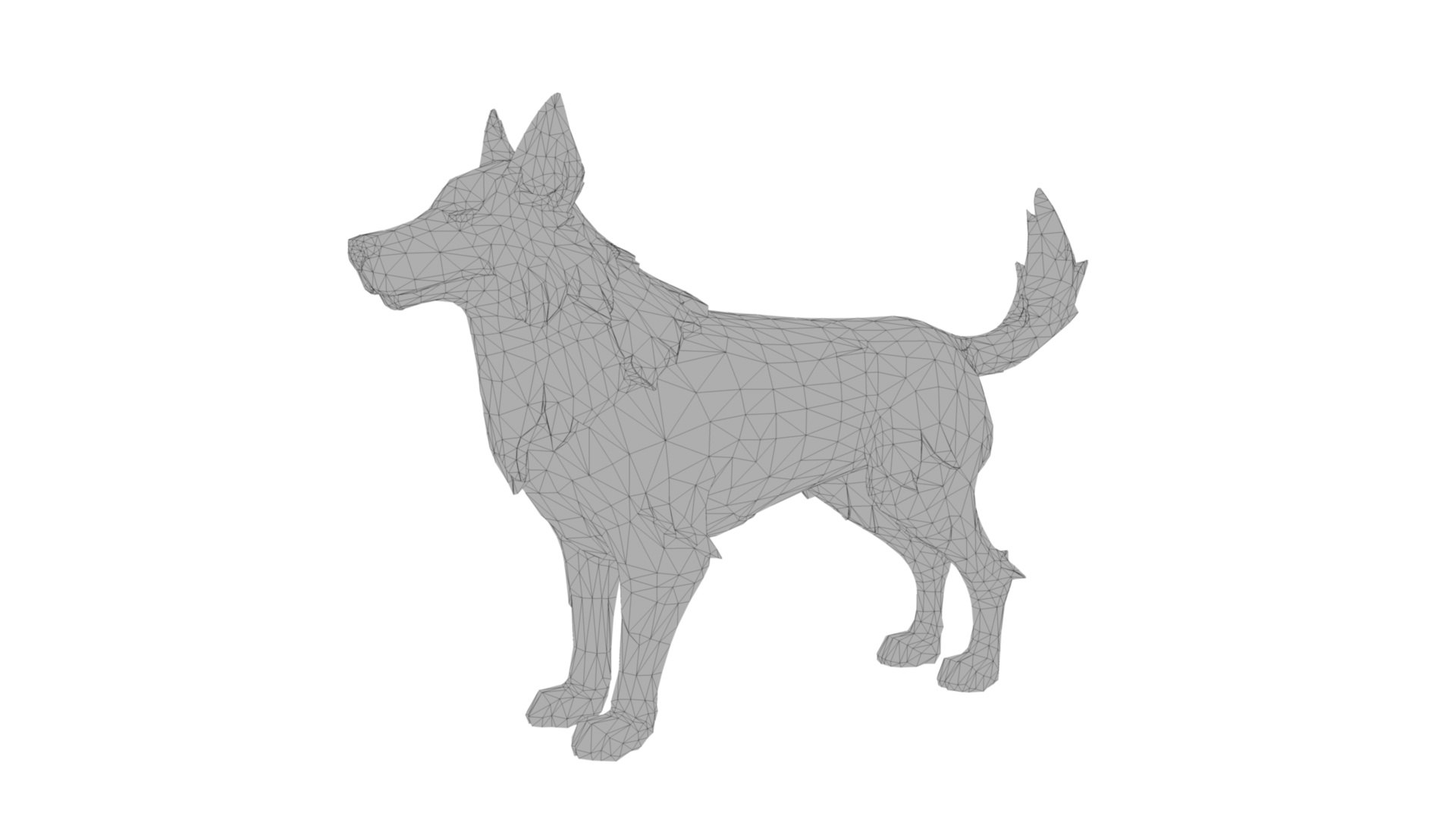 Husky dog 3D model - TurboSquid 1953876