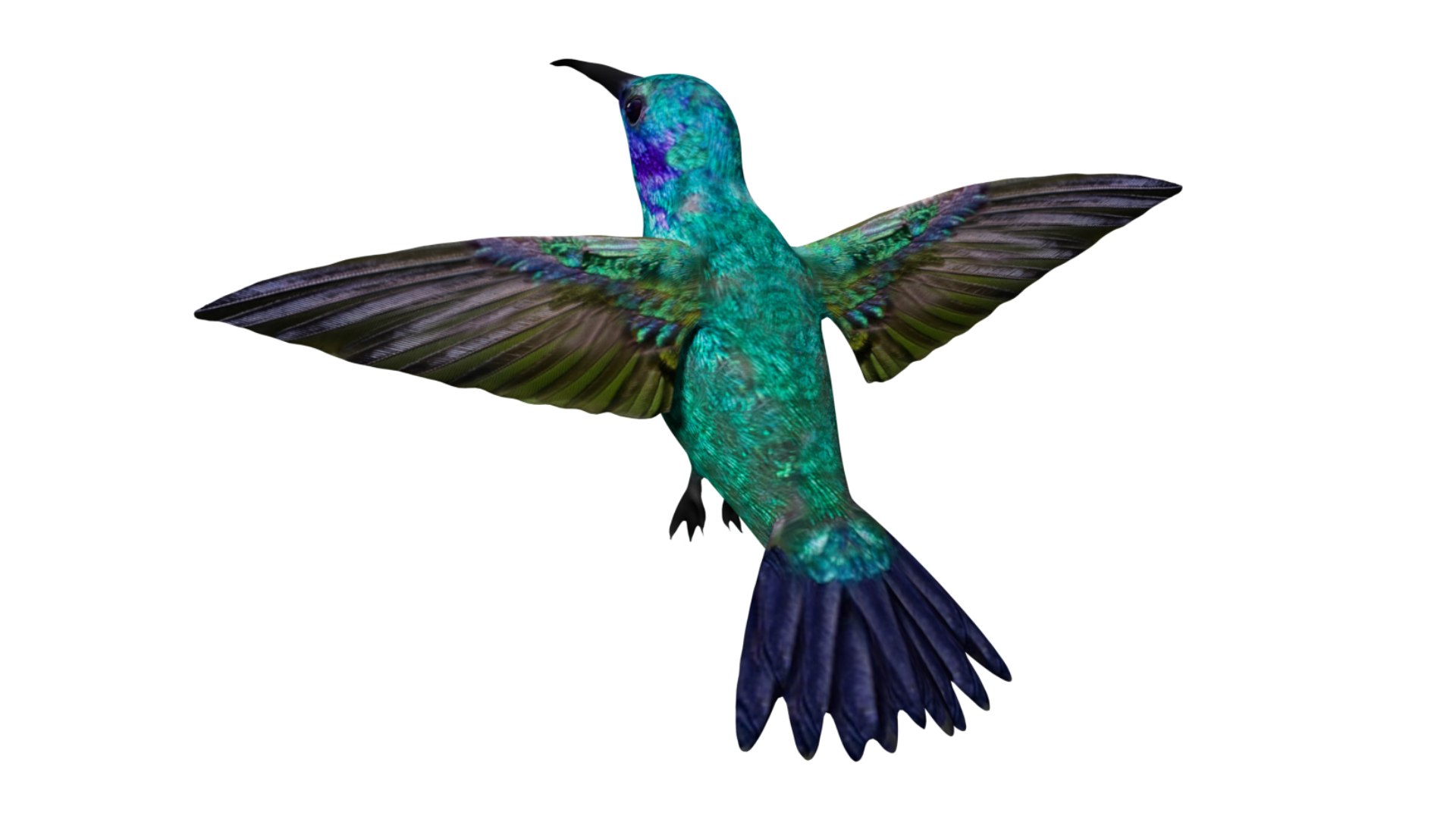 3D Rigged Humming Bird Model - TurboSquid 1753805
