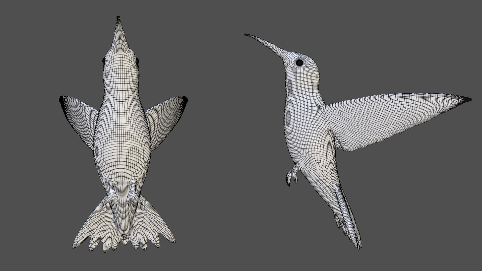 3D Rigged Humming Bird Model - TurboSquid 1753805