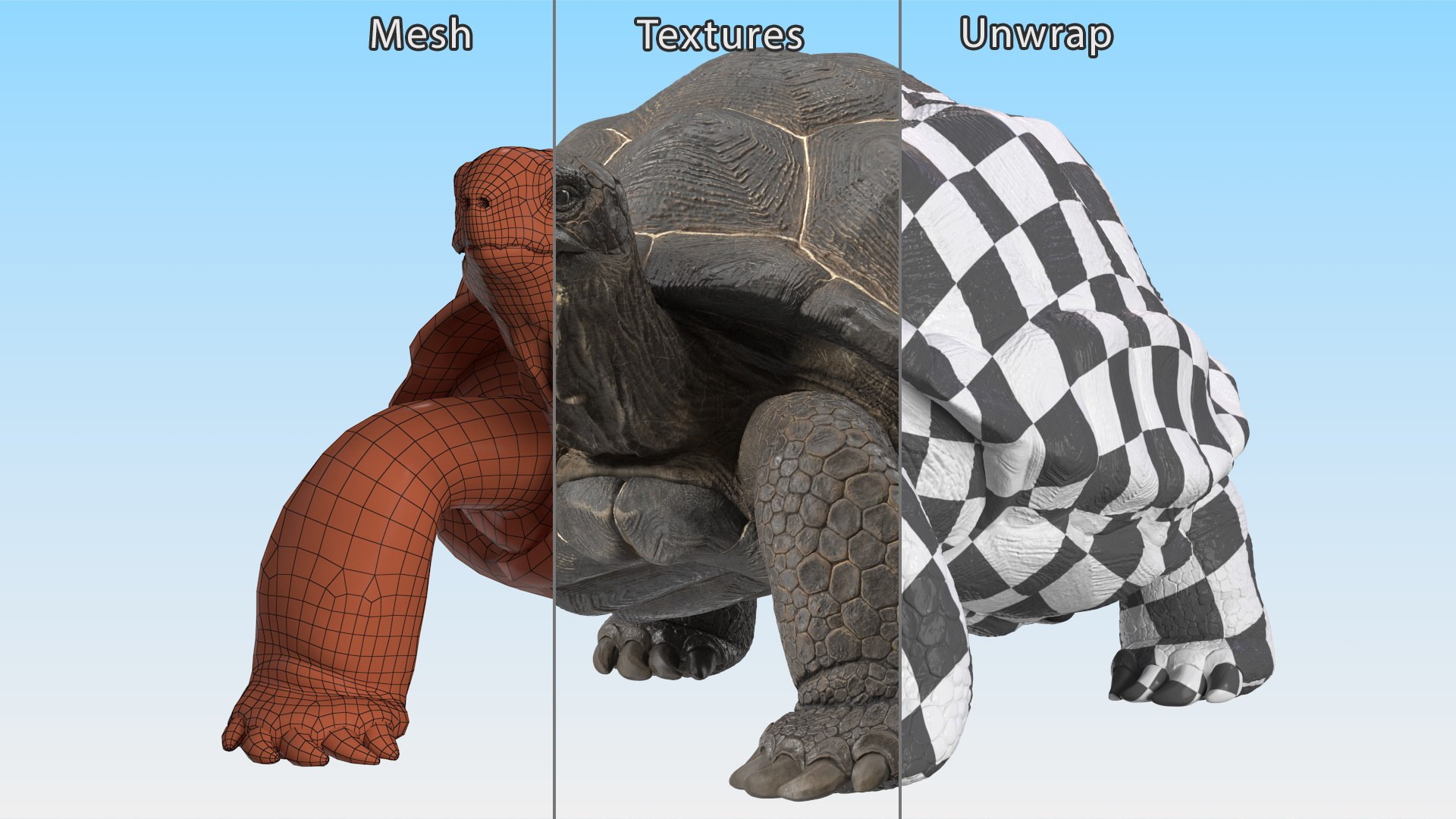 Giant Tortoise Stand Pose 3D model - TurboSquid 2111873