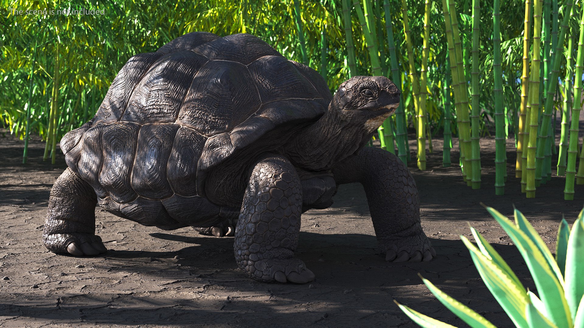 Giant Tortoise Stand Pose 3D Model - TurboSquid 2111873