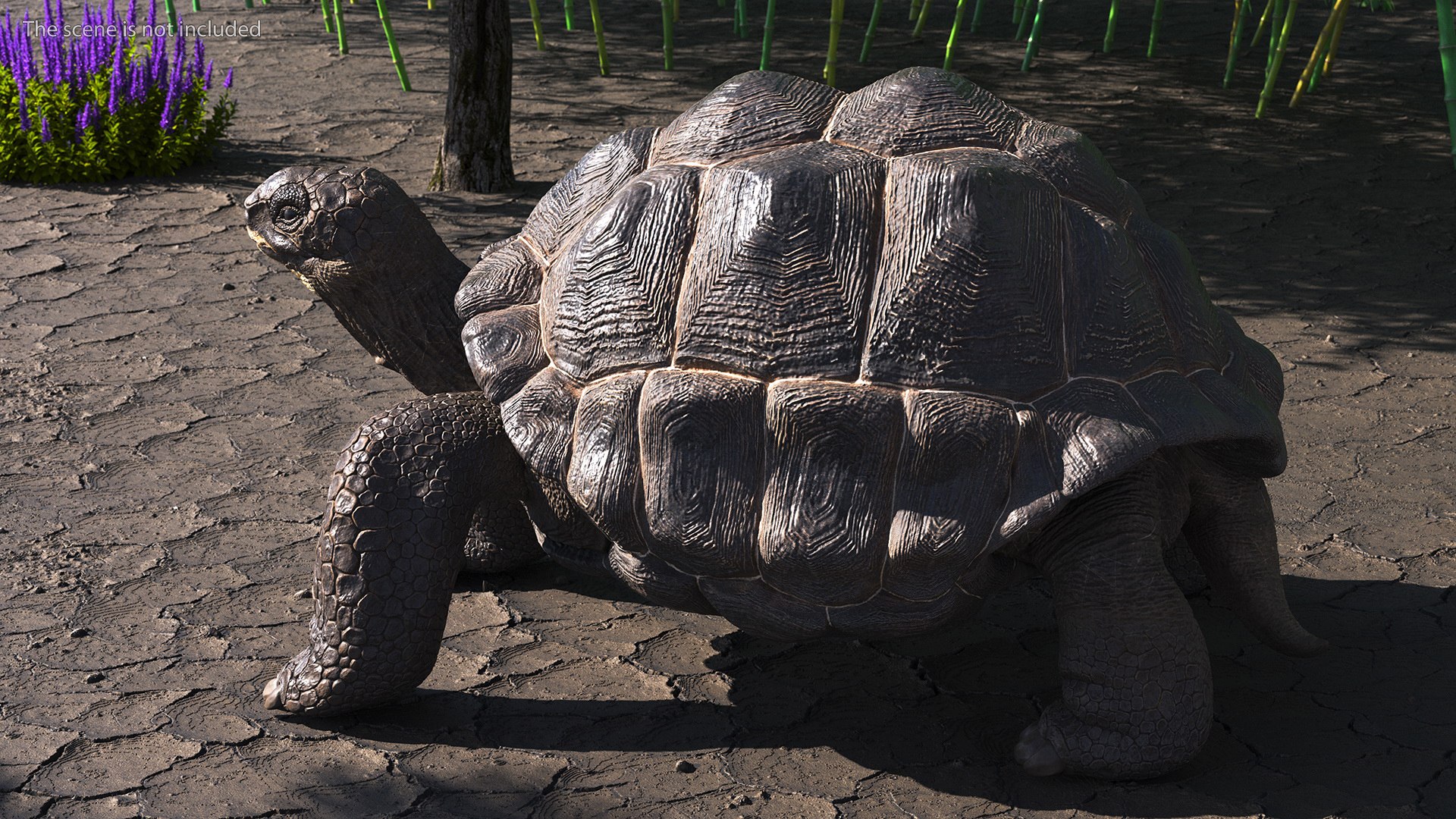 Giant Tortoise Stand Pose 3D Model - TurboSquid 2111873