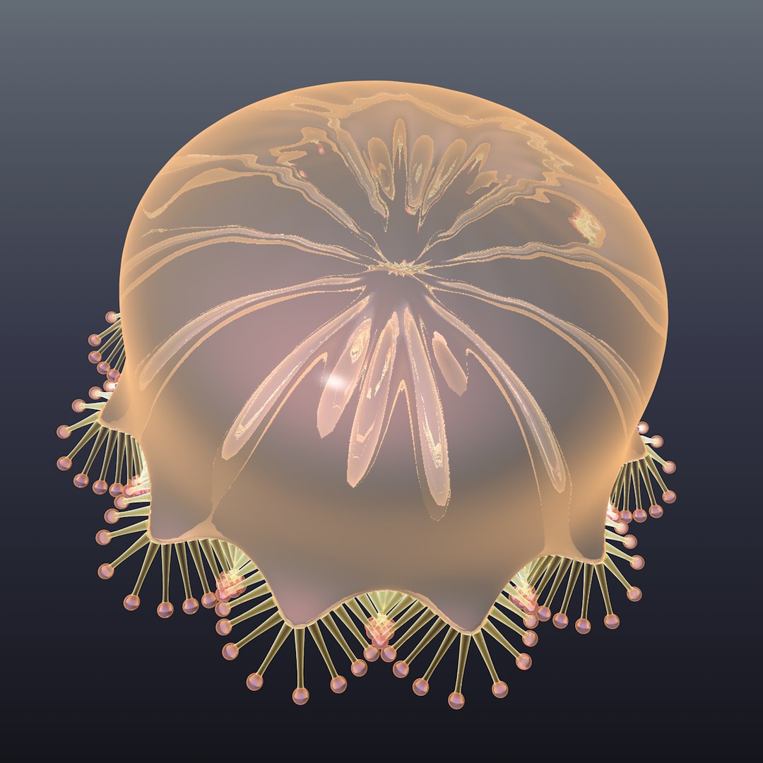 3D Realistic Jellyfish - TurboSquid 1458254