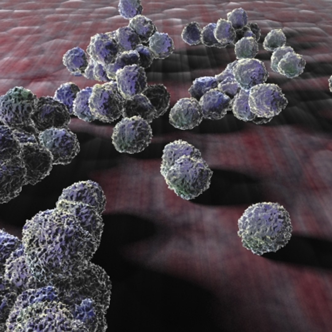 Staphylococcus Aureus 3d Max