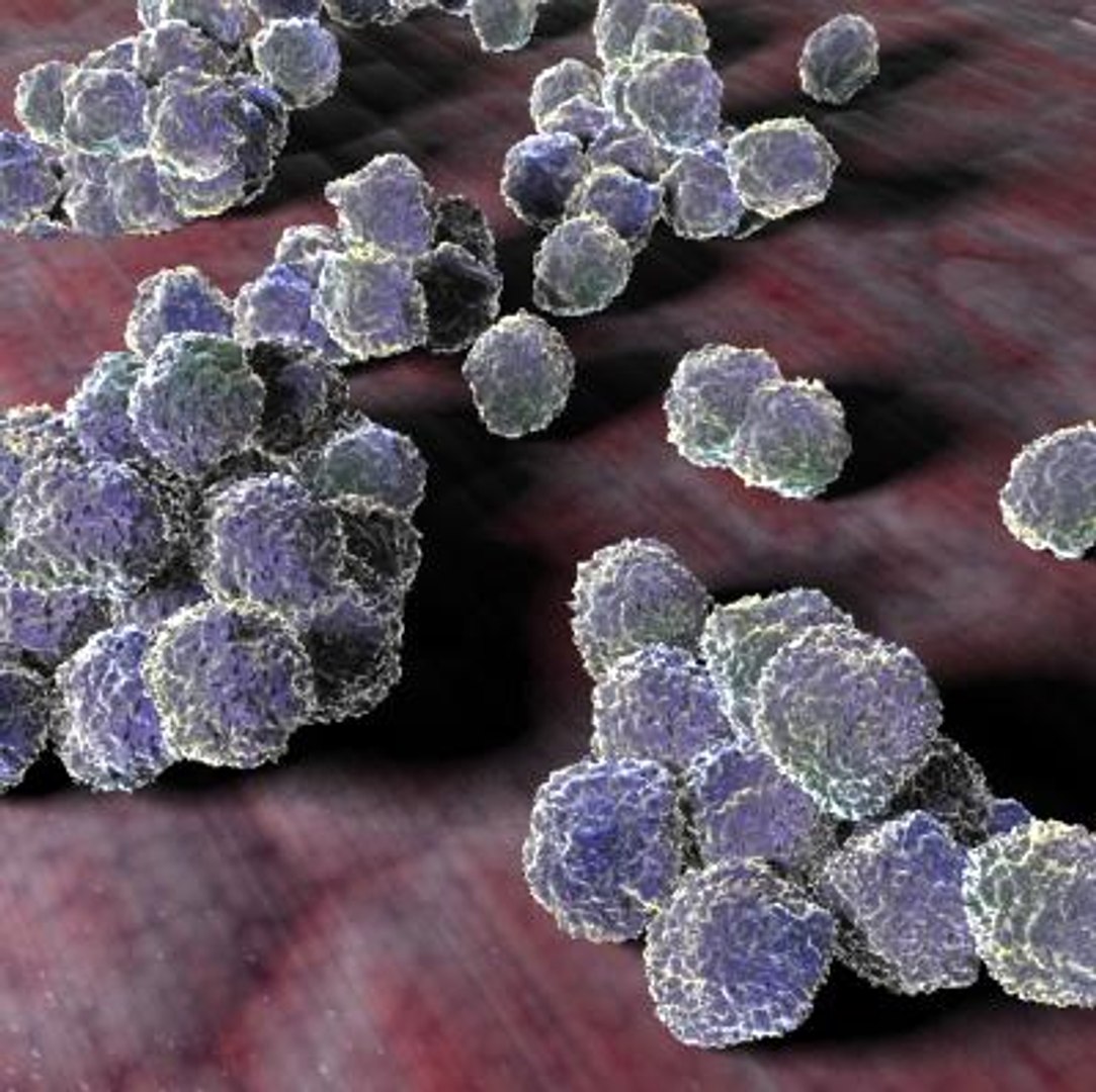 Staphylococcus Aureus 3d Max