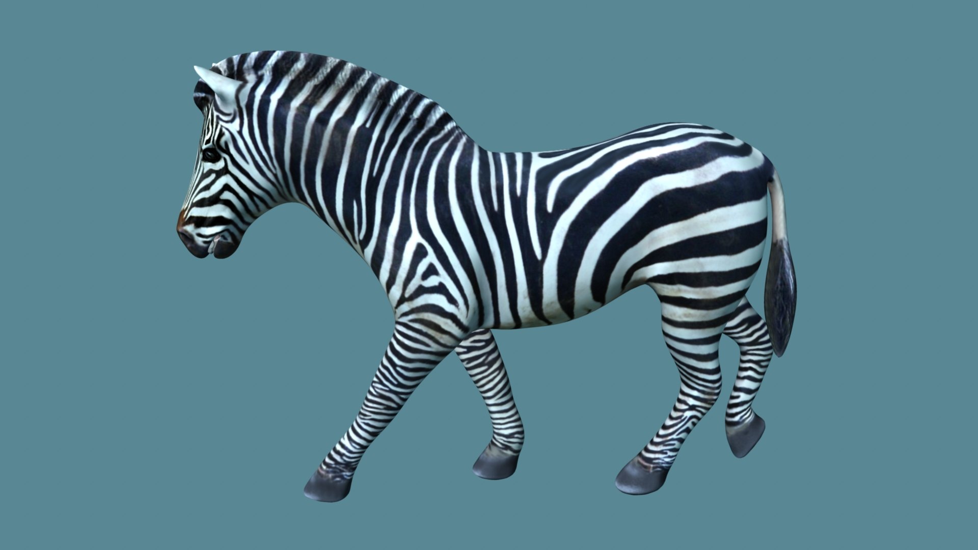 Zebra Model - TurboSquid 2211170