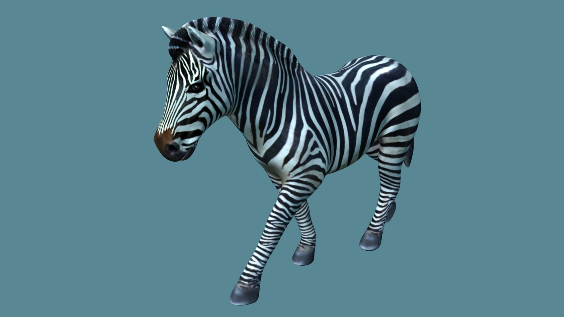 Zebra Model - TurboSquid 2211170