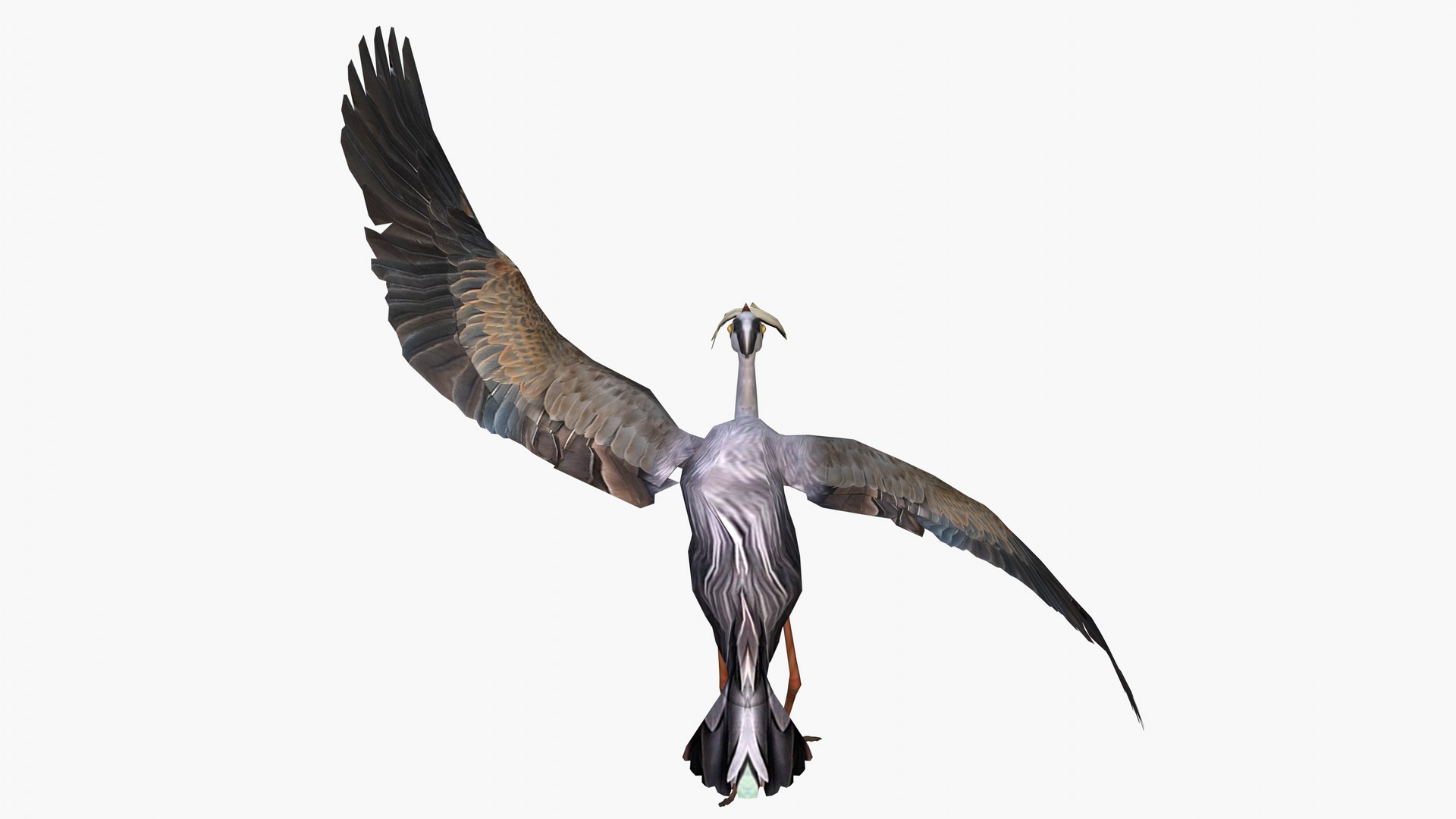 3D Heron Bird With Rig And Animation - TurboSquid 2031214