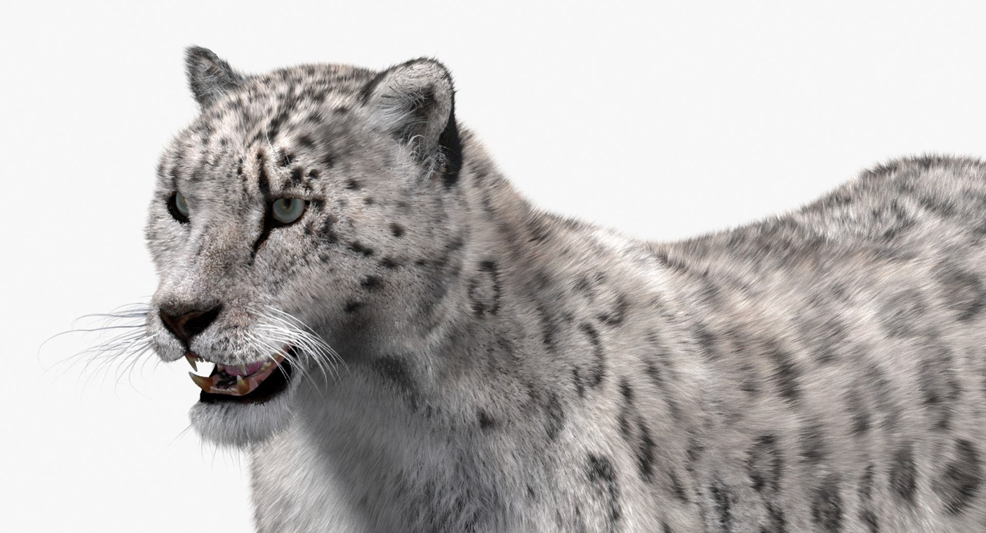 Max Snow Leopard Fur