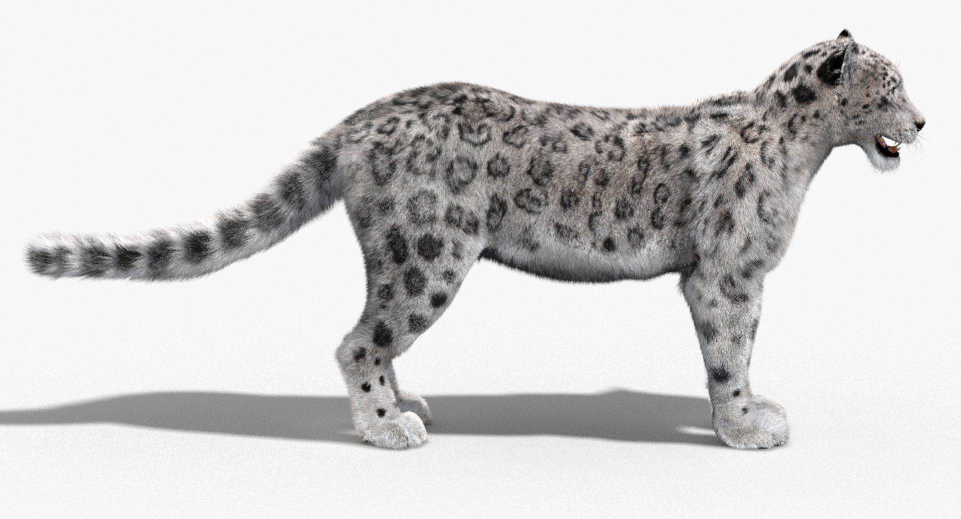 Max Snow Leopard Fur