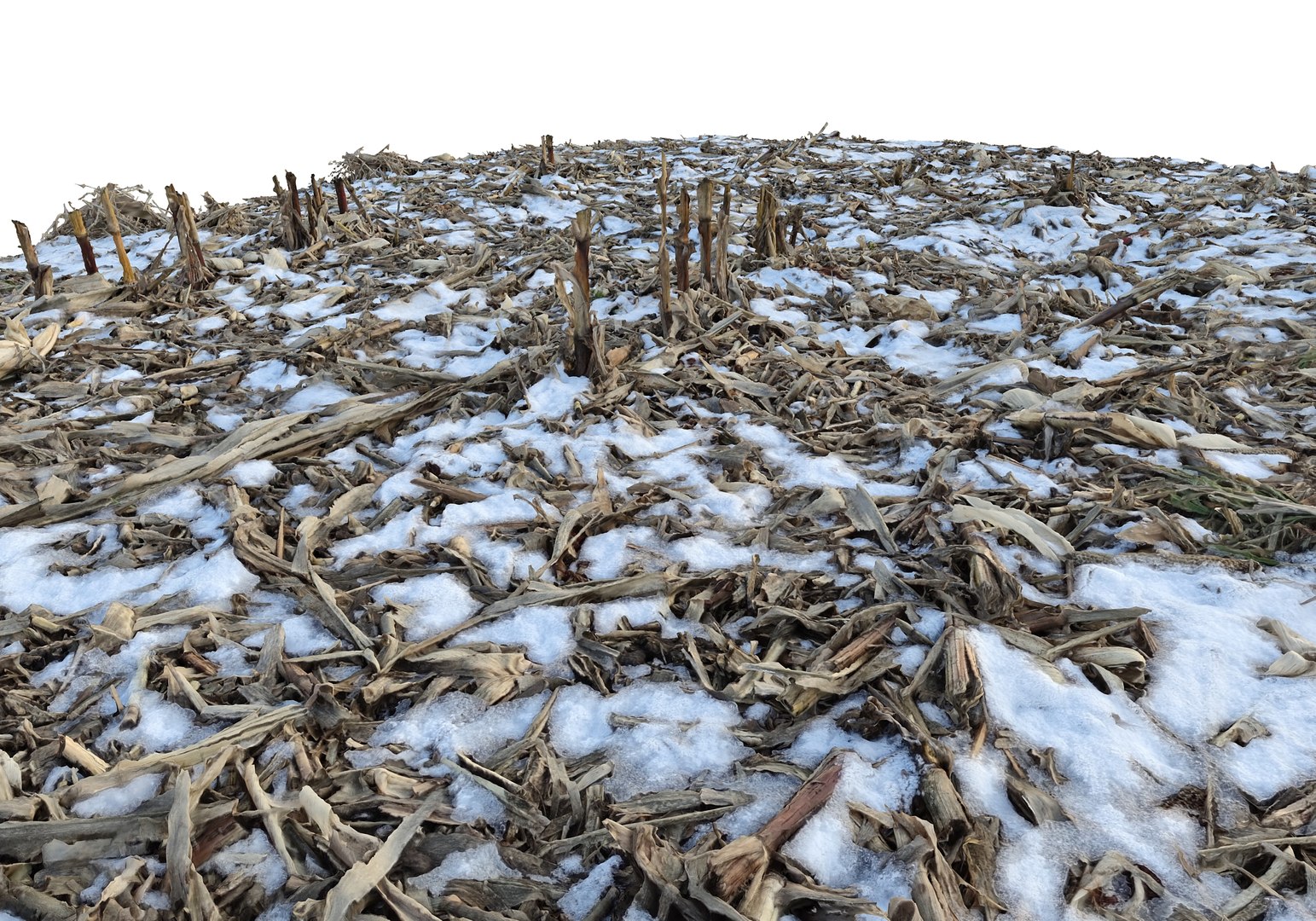 Winter Stubble Field 3D Model - TurboSquid 1838450