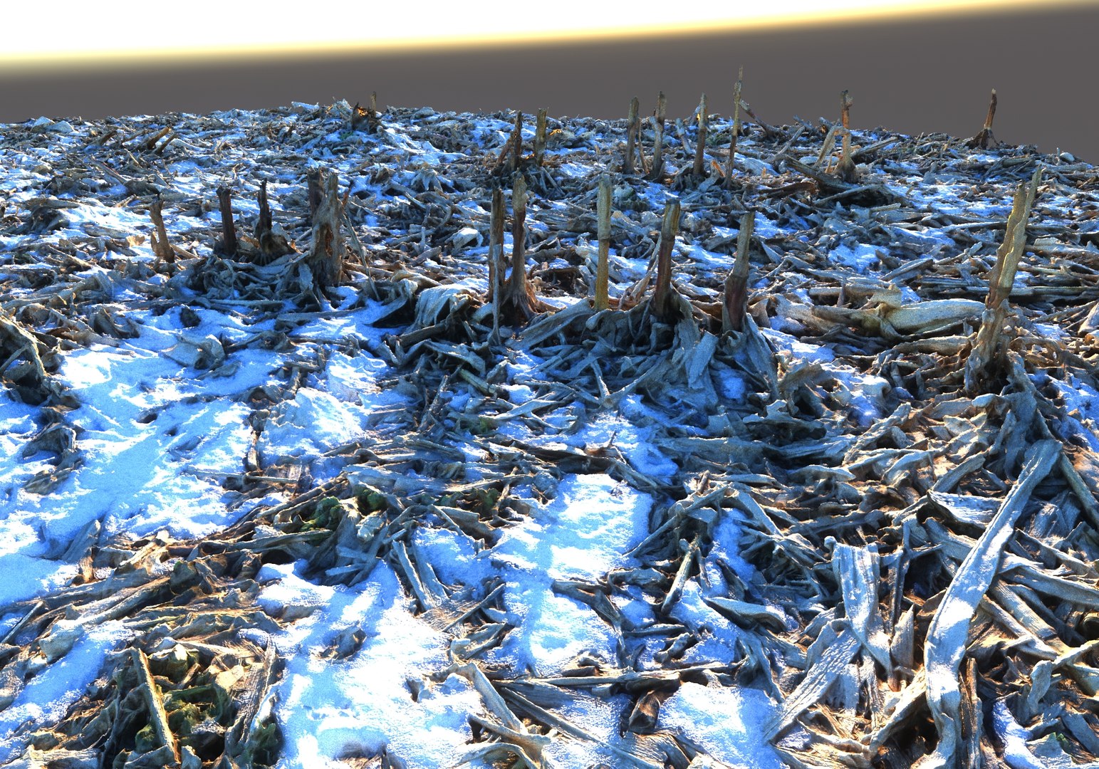 Winter Stubble Field 3D Model - TurboSquid 1838450