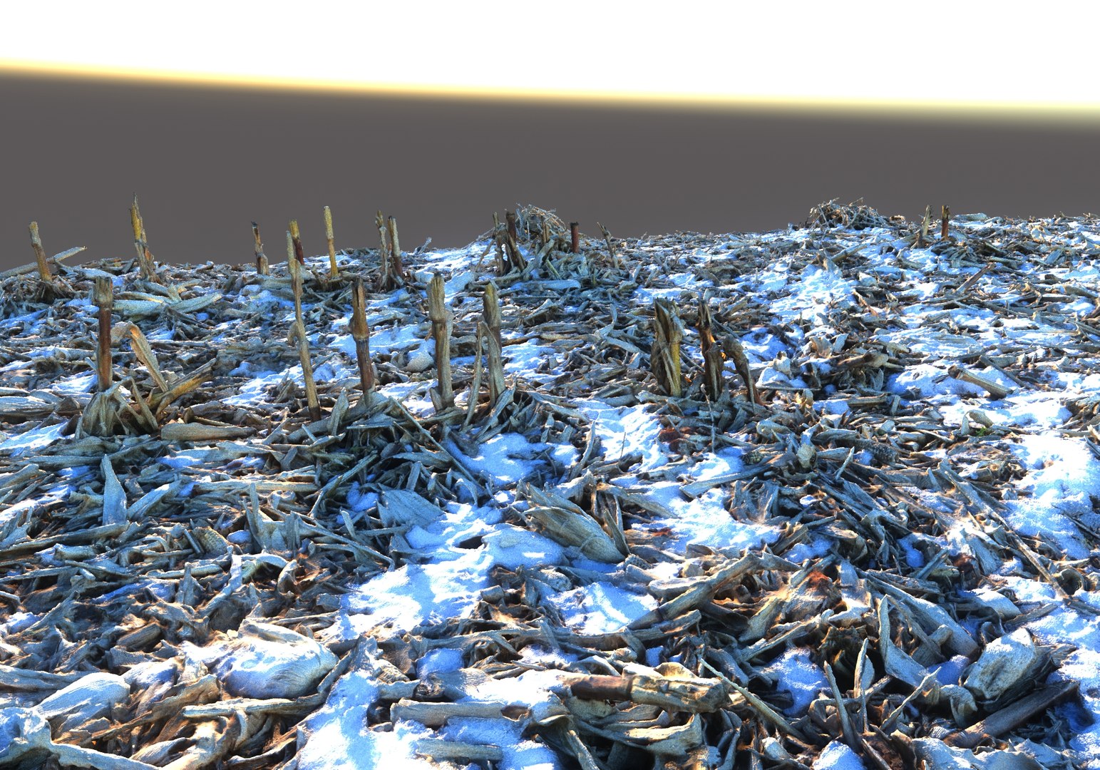 Winter Stubble Field 3D Model - TurboSquid 1838450
