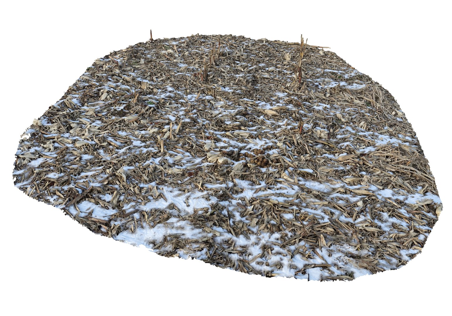 Winter Stubble Field 3D Model - TurboSquid 1838450