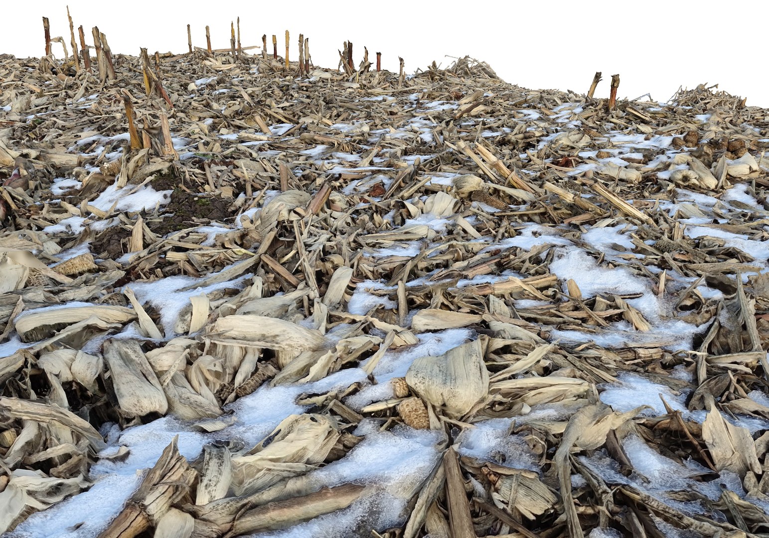 Winter Stubble Field 3D Model - TurboSquid 1838450