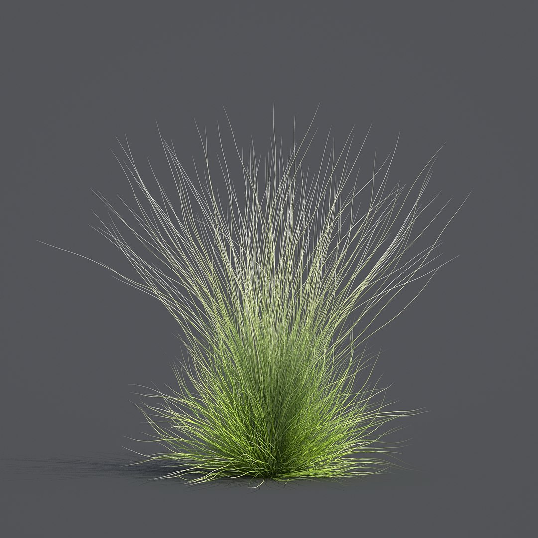 Grass Deer Model - TurboSquid 1229106
